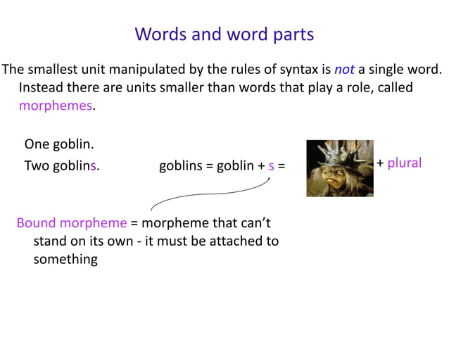 Description of morphology,types, development,and examples. | PPT