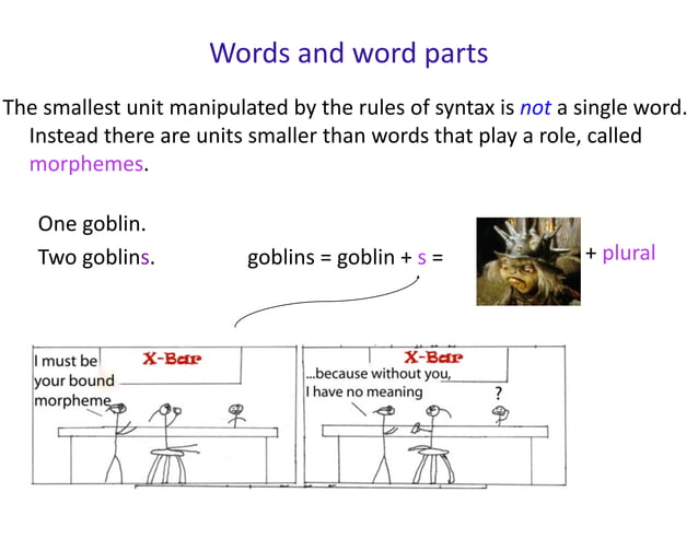 Description of morphology,types, development,and examples. | PPT