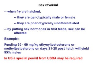 Lecture16--Tilapia_production.ppt