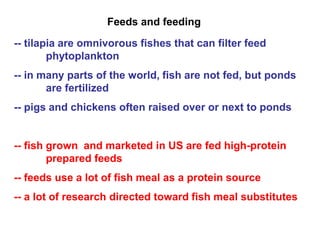 Lecture16--Tilapia_production.ppt