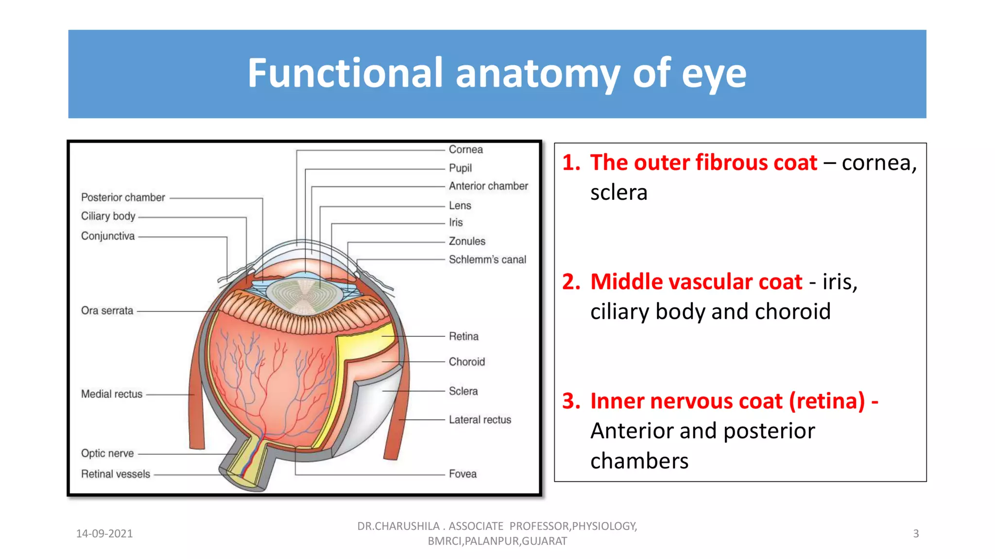 Lecture 1/2022 Special senses , Vision 1- Basics of vision, Optics of ...