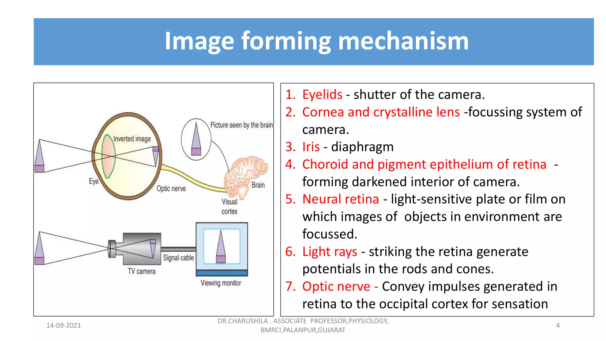 Lecture 1/2022 Special senses , Vision 1- Basics of vision, Optics of ...