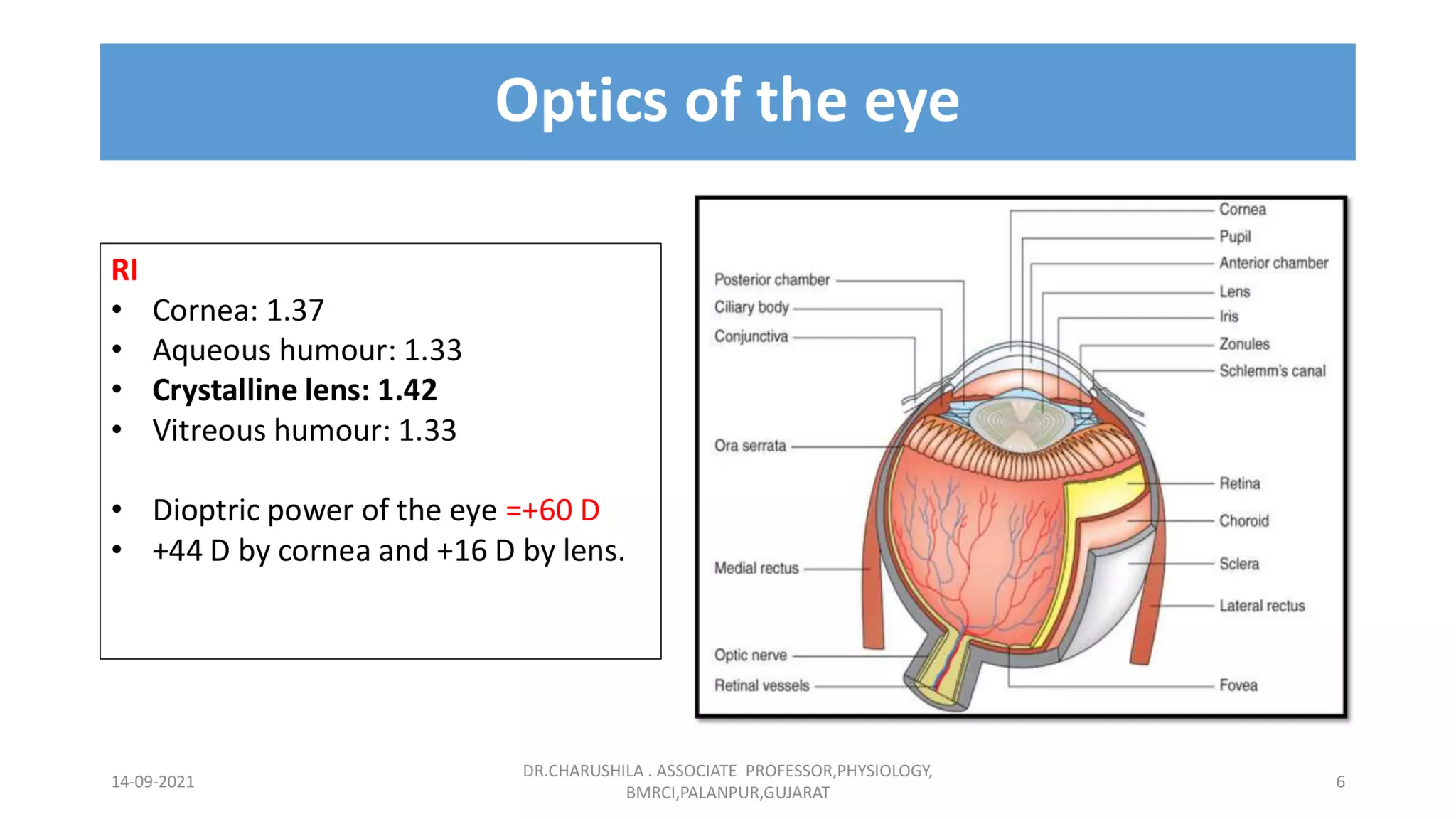Lecture 1/2022 Special senses , Vision 1- Basics of vision, Optics of ...