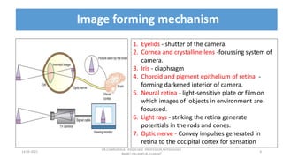 Lecture 1/2022 Special senses , Vision 1- Basics of vision, Optics of ...
