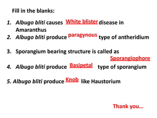 Lecture 16 Albugo candida.pptx | Infertility | Reproductive Health