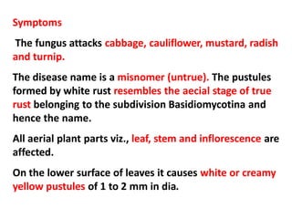 Lecture 16 Albugo candida.pptx