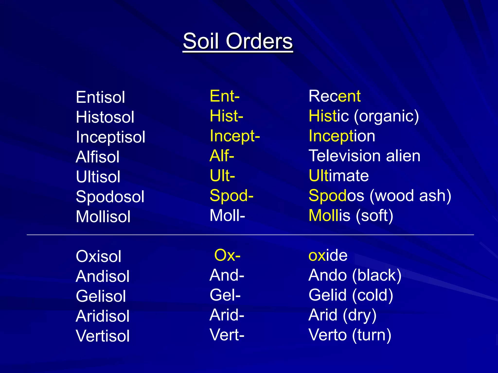 Lecture 16 Morphology and Orders.ppt