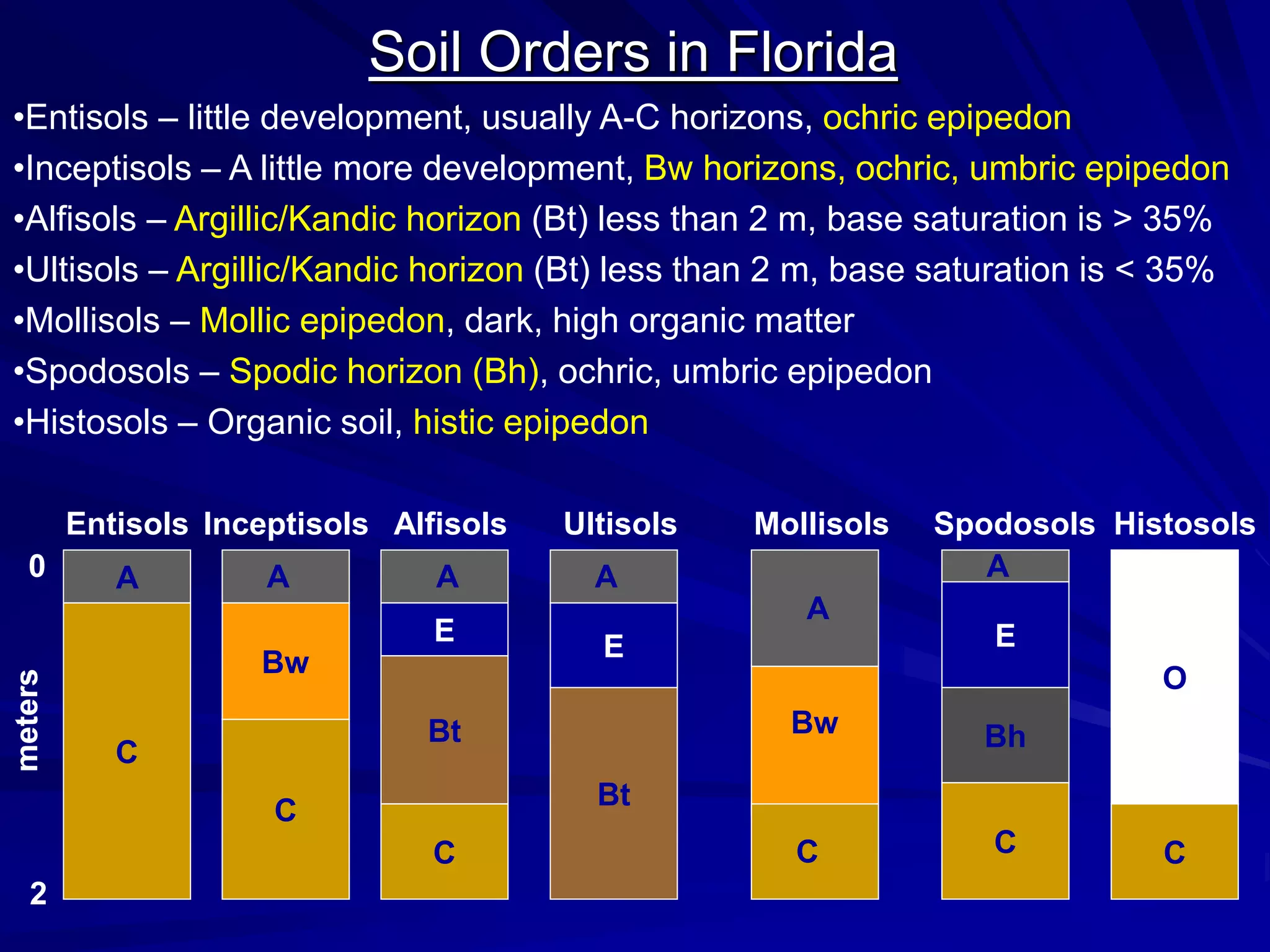 Lecture 16 Morphology and Orders.ppt