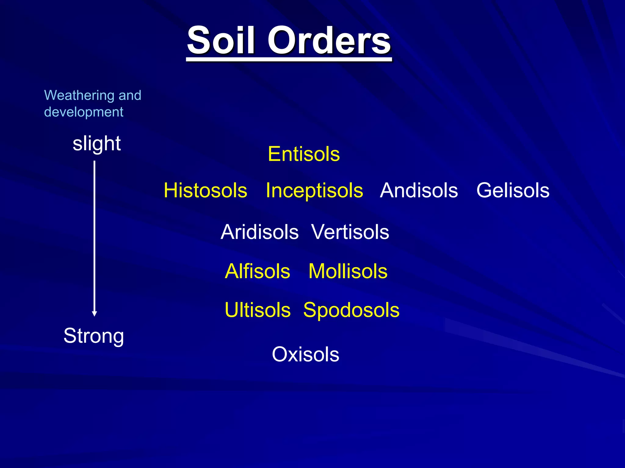 Lecture 16 Morphology and Orders.ppt