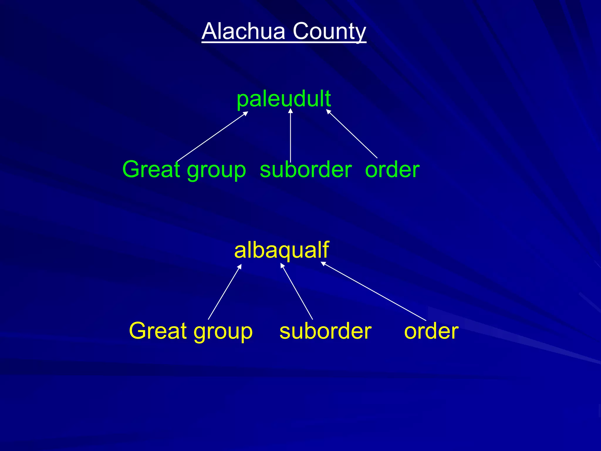Lecture 16 Morphology and Orders.ppt