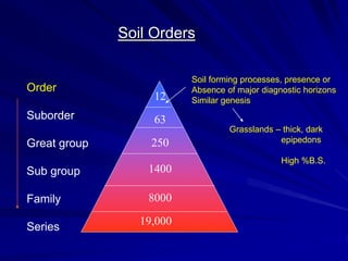 Lecture 16 Morphology and Orders.ppt
