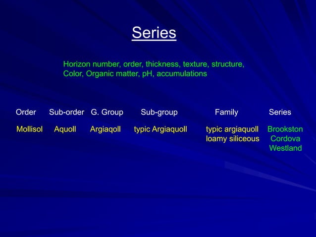 Lecture 16 Morphology and Orders.ppt