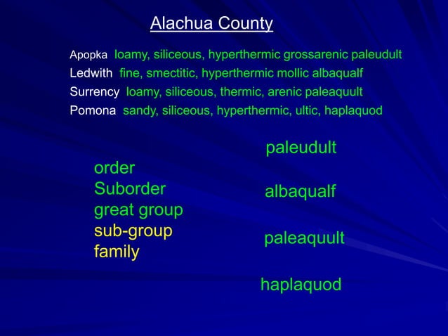 Lecture 16 Morphology and Orders.ppt
