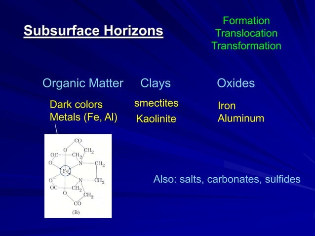 Lecture 16 Morphology and Orders.ppt