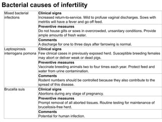 Lecture 16 Porcine infertility | PDF