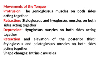 anatomy of the muscle of the tongue. pptx | PPT