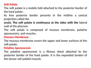 anatomy of the muscle of the tongue. pptx | PPTX