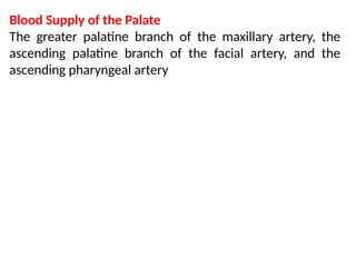 anatomy of the muscle of the tongue. pptx | PPTX