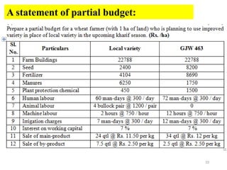 Lecture 17 farm budgeting | PPT