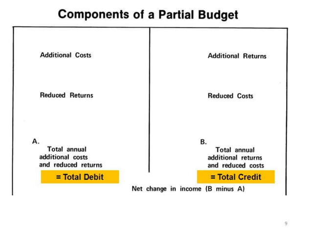 Lecture 17 Farm Budgeting PPT Lecture 17 Farm Budgeting PPT