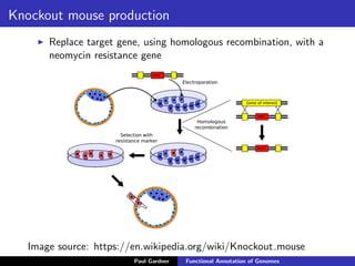 BIOL335: Functional genomics | PDF