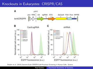 BIOL335: Functional genomics | PDF