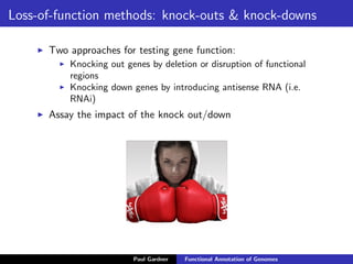 BIOL335: Functional genomics | PPT
