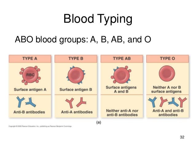 Lecture 17 hematology