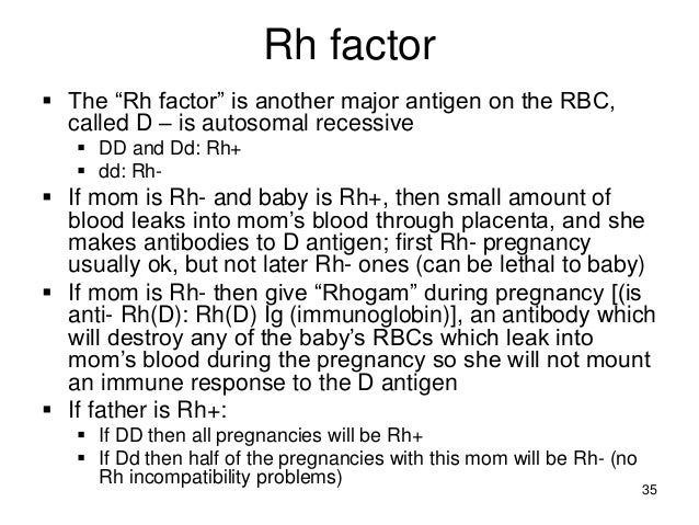 Lecture 17 hematology