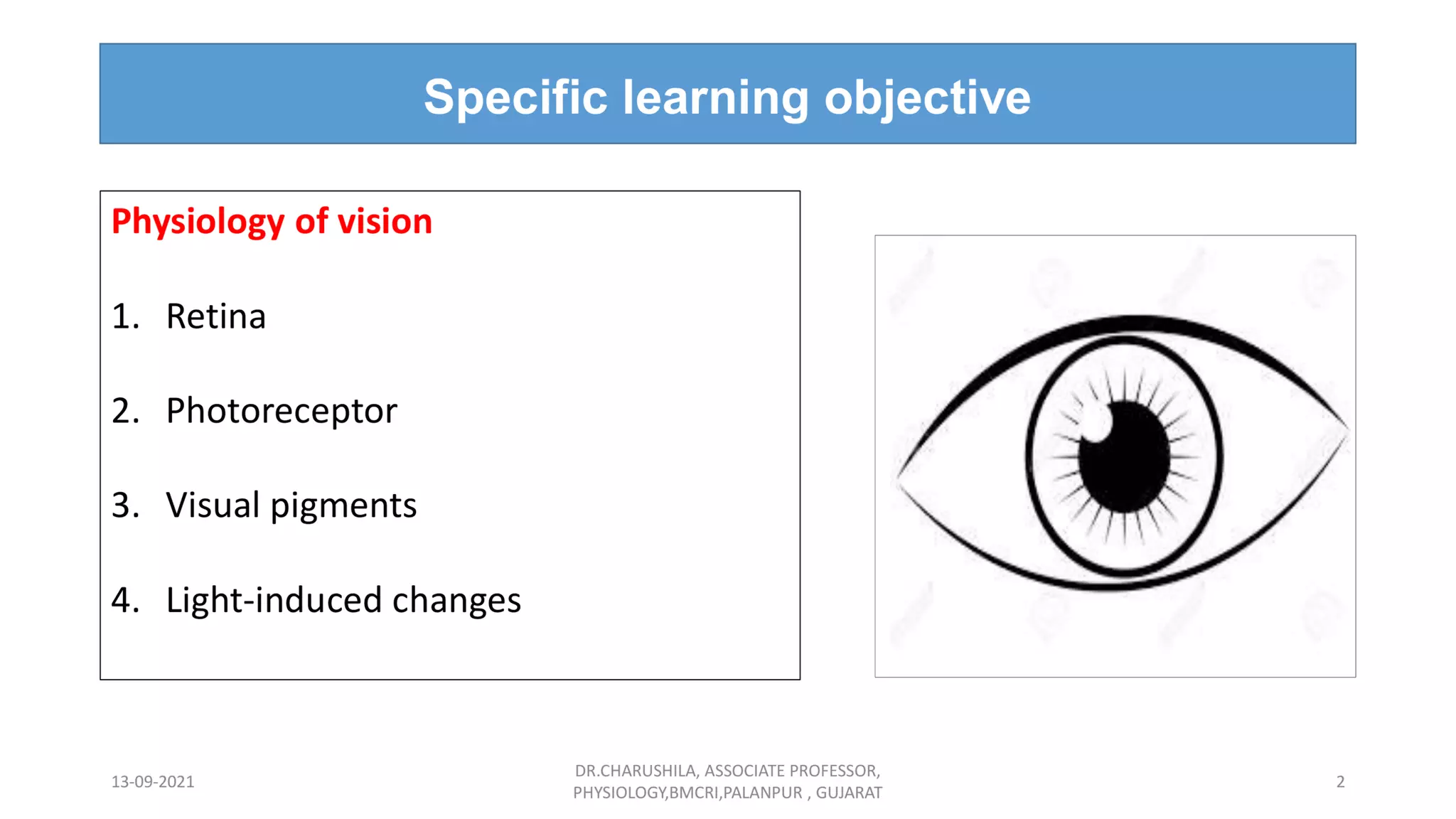 Lecture 2/2022 Special senses -Vision 2 -Physiology of vision – Retina ...