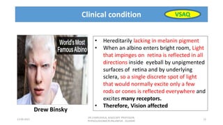 Lecture 2/2022 Special senses -Vision 2 -Physiology of vision – Retina ...