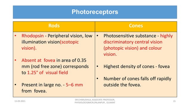 Lecture 2/2022 Special senses -Vision 2 -Physiology of vision – Retina ...
