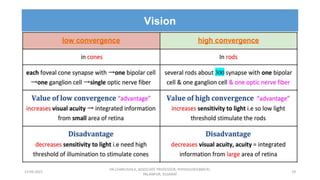 Lecture 2/2022 Special senses -Vision 2 -Physiology of vision – Retina ...