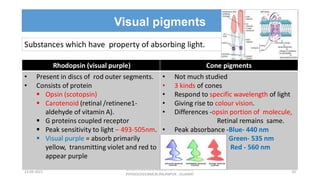 Lecture 2/2022 Special senses -Vision 2 -Physiology of vision – Retina ...