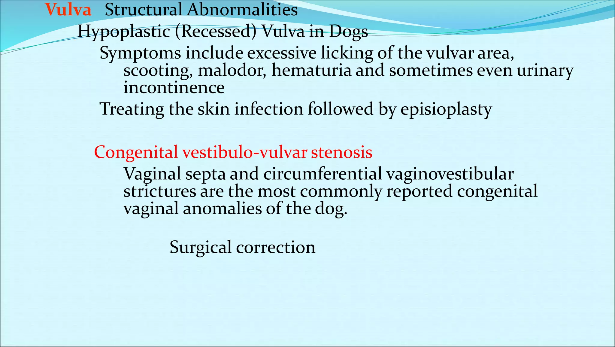 Lecture 17 Canine infertility | PDF