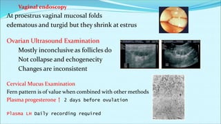 Lecture 17 Canine infertility | PDF