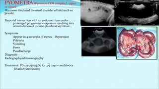 Lecture 17 Canine infertility | PDF