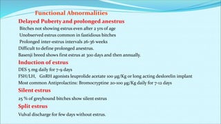 Lecture 17 Canine infertility | PDF
