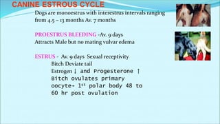 Lecture 17 Canine infertility | PDF