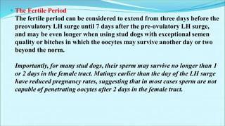 Lecture 17 Canine infertility | PDF
