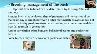 Lecture 17 Canine infertility | PDF