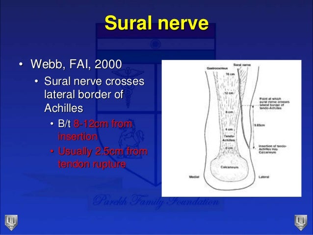 Lecture 17 parekh achilles tears