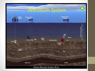Petroleum Geology | PPTX