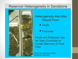 Petroleum Geology | PPTX