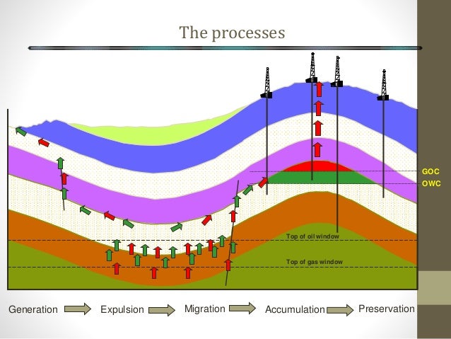 Petroleum Geology