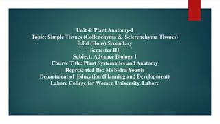 plant anatomy lecture.pptx