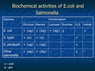 Bohomolets Microbiology Lecture #18 | PPT