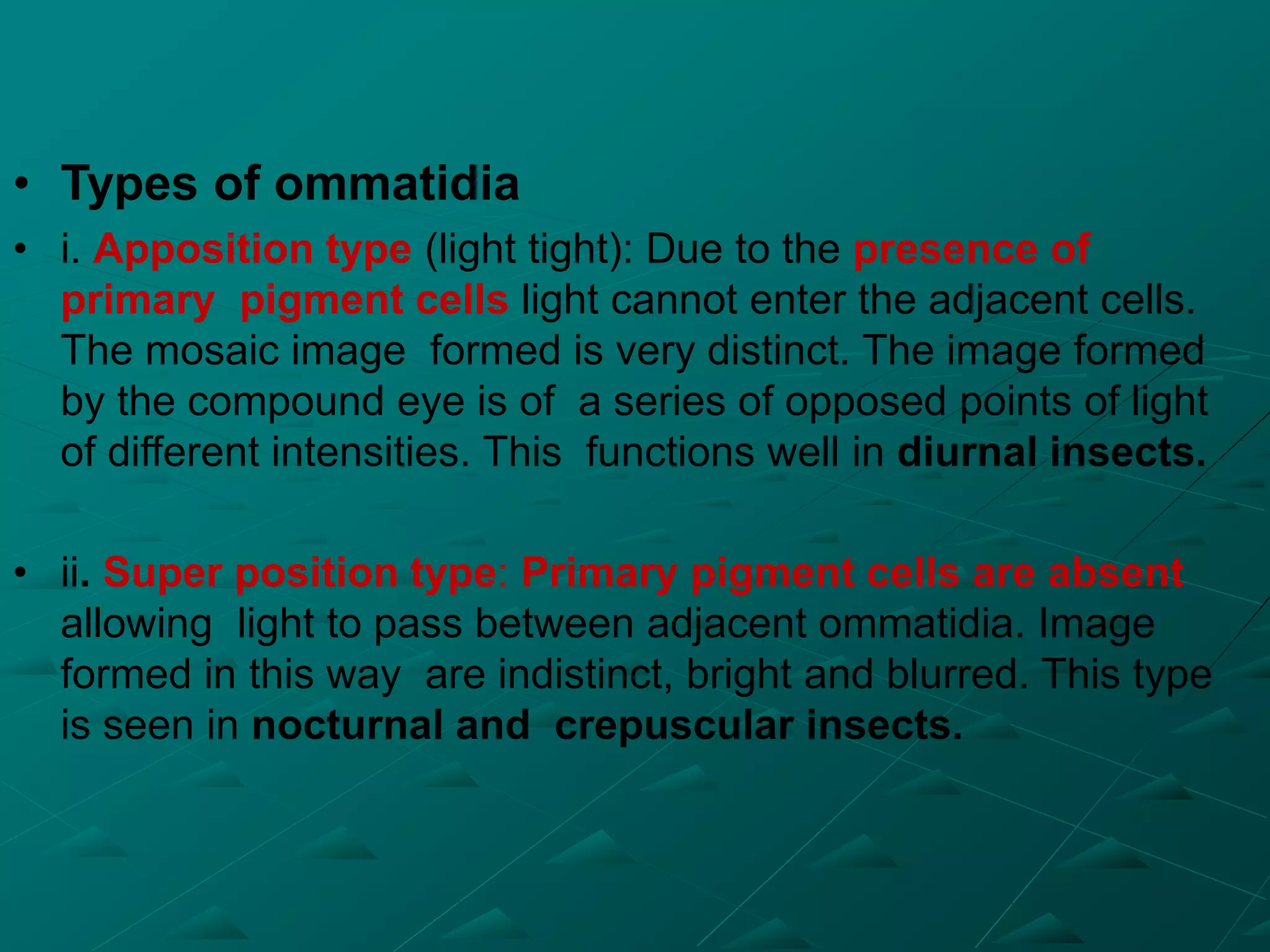 Lecture 18 - Insect Sense organs - Copy.ppt