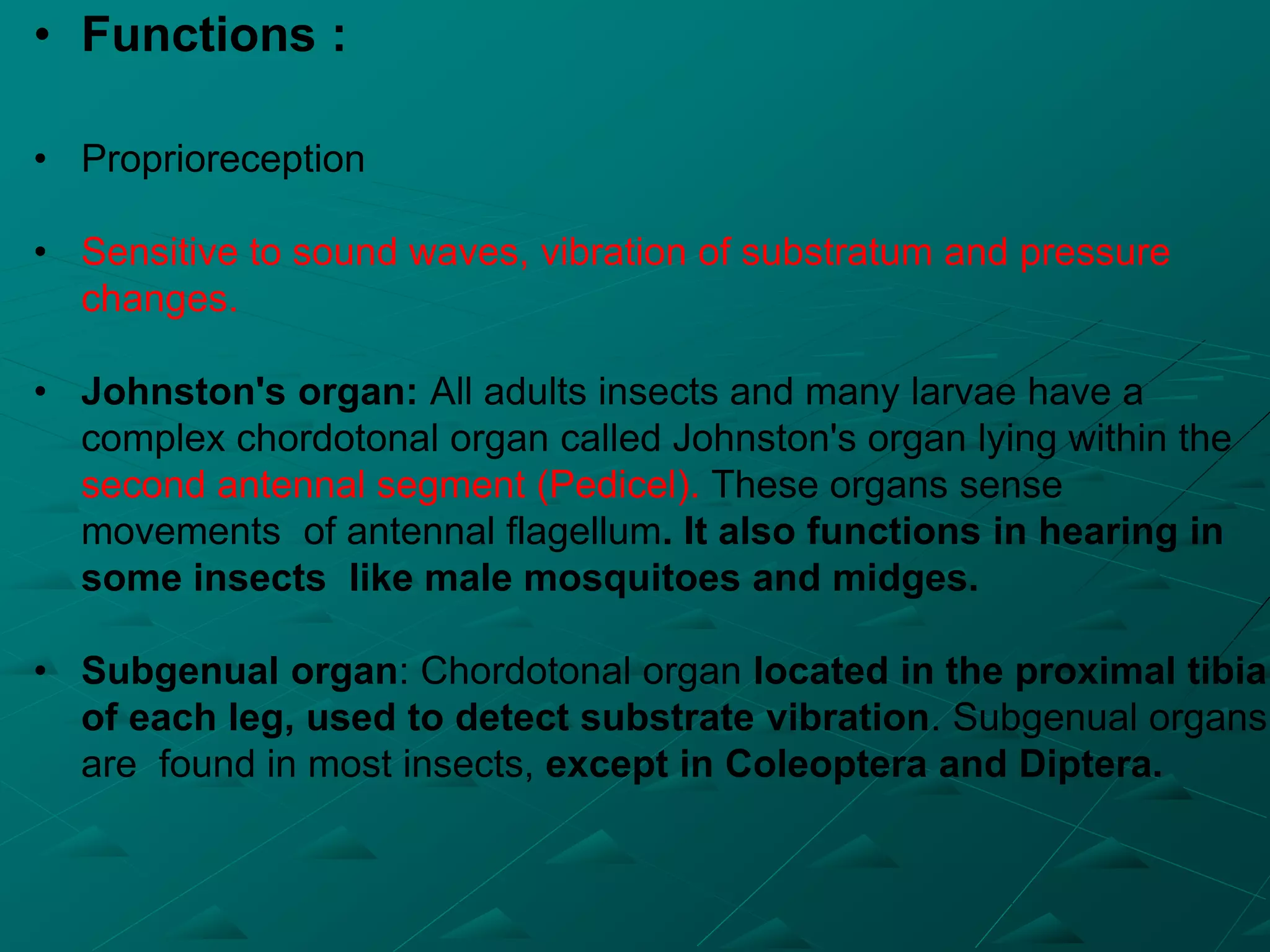Lecture 18 - Insect Sense organs - Copy.ppt