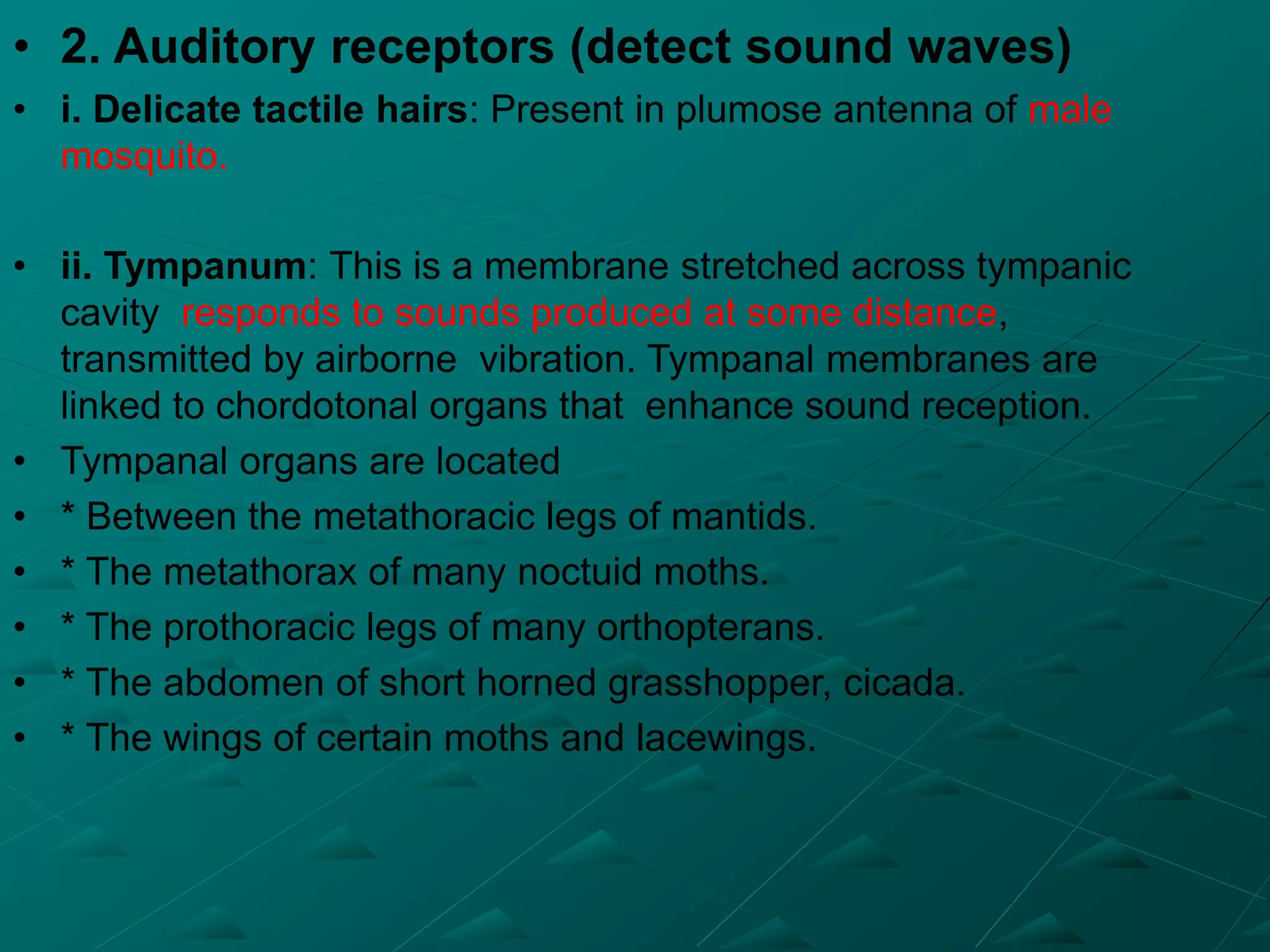 Lecture 18 - Insect Sense organs - Copy.ppt